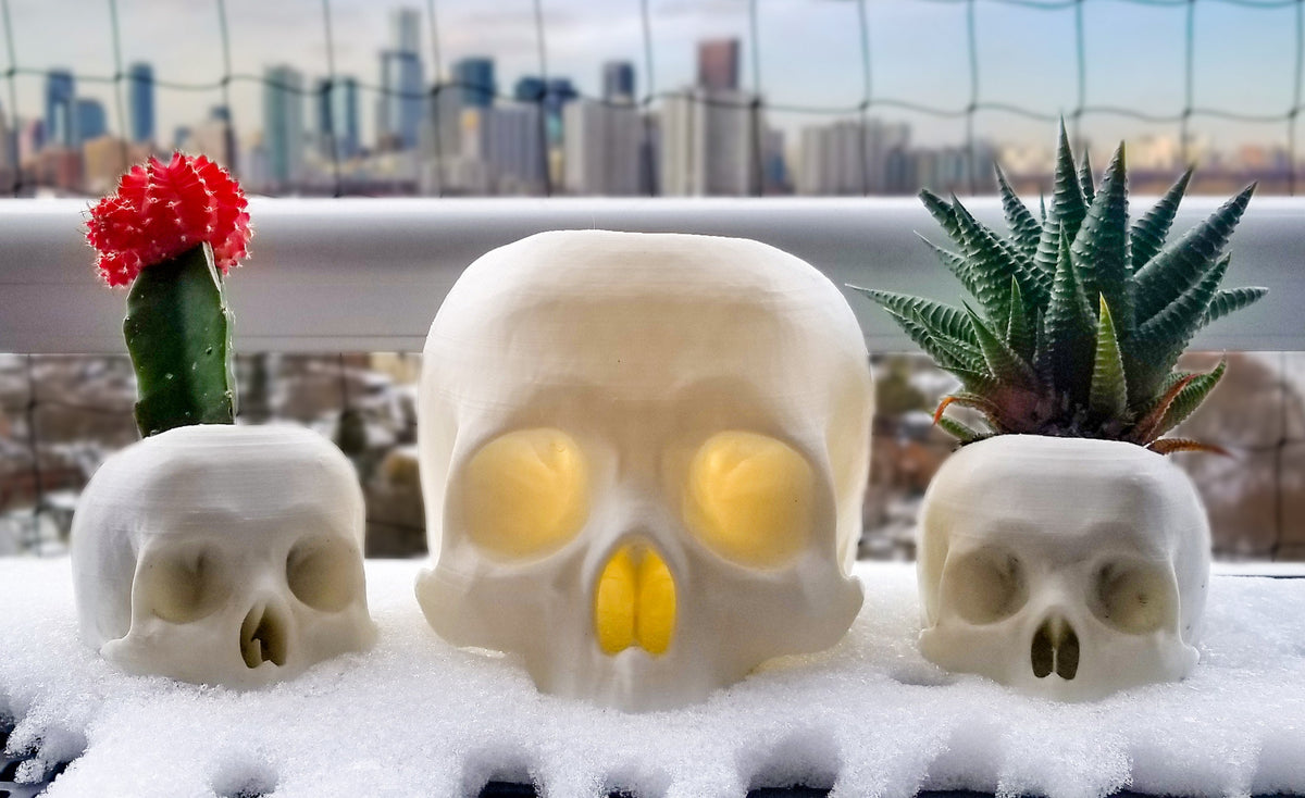 Large Skull Planter • Gothic Home Garden Decor • 3D Printed – Cursed By ...