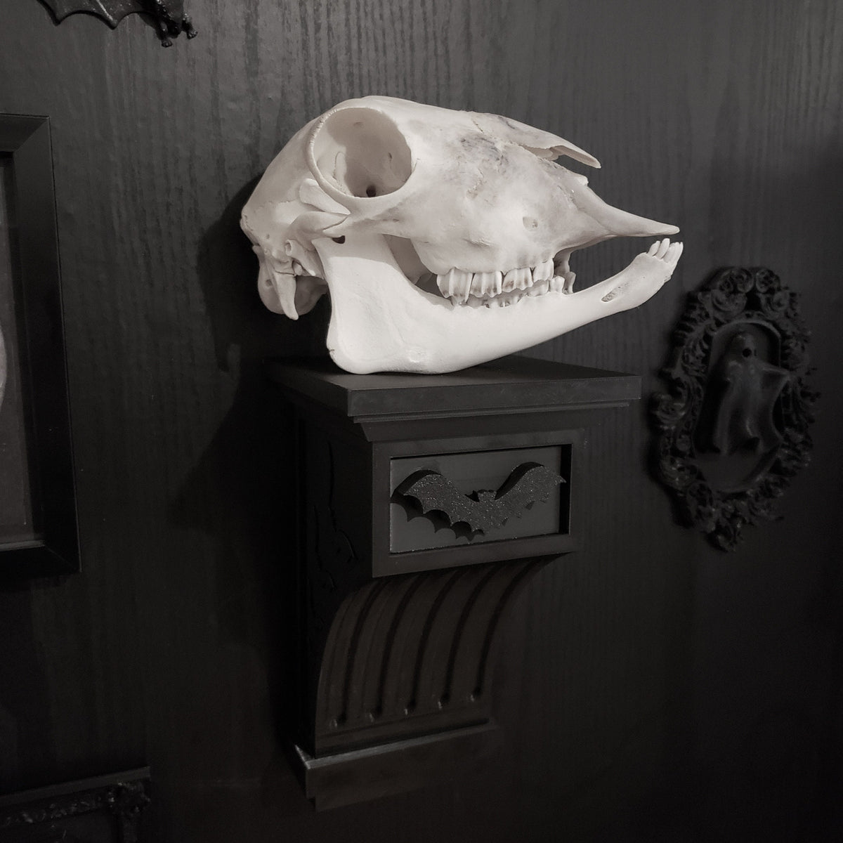 Bat Corbel Shelf with Drawer - 10 Inches Tall • Gothic Home Decor • 3D ...